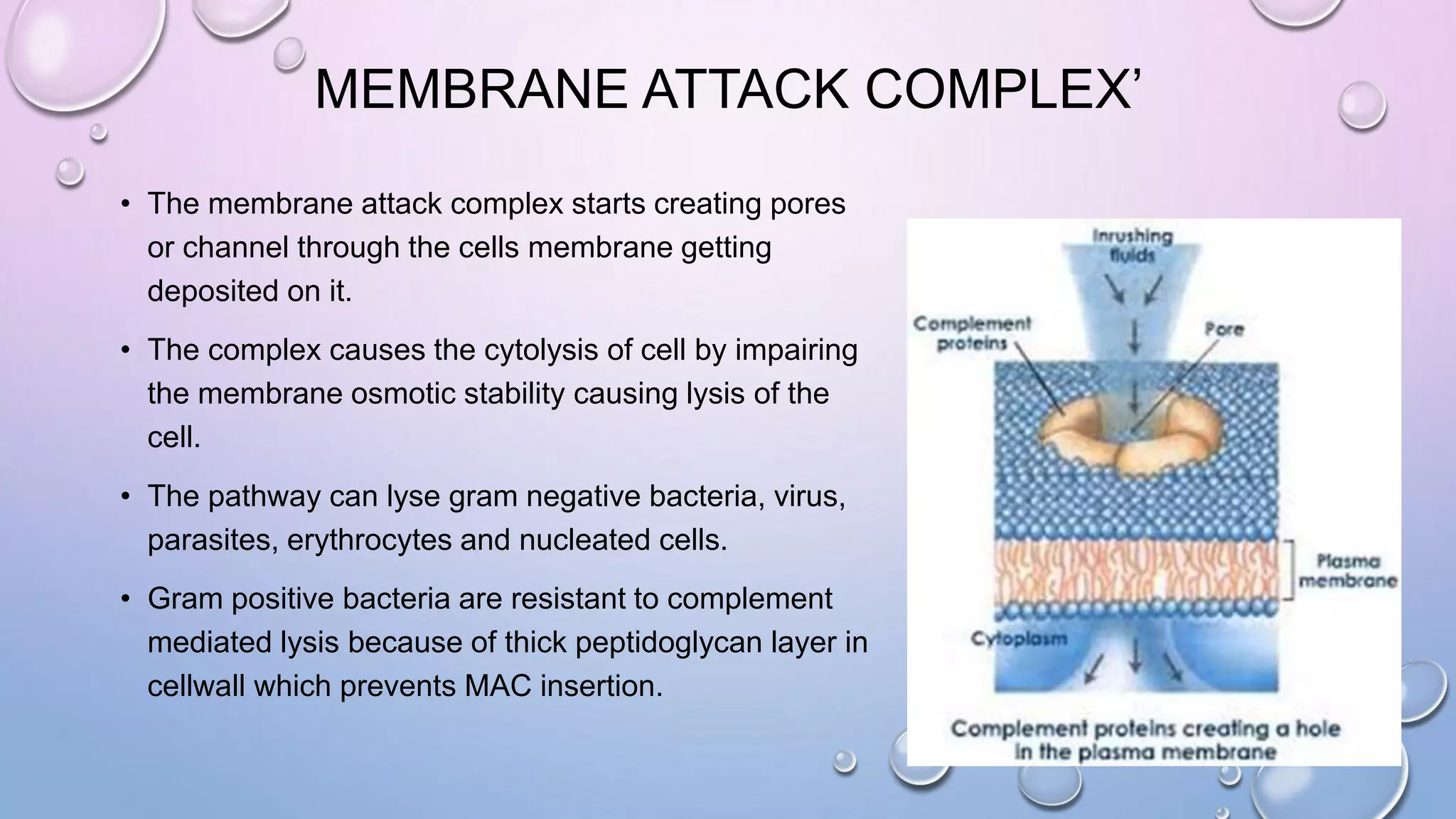 Complementary system | PPTX