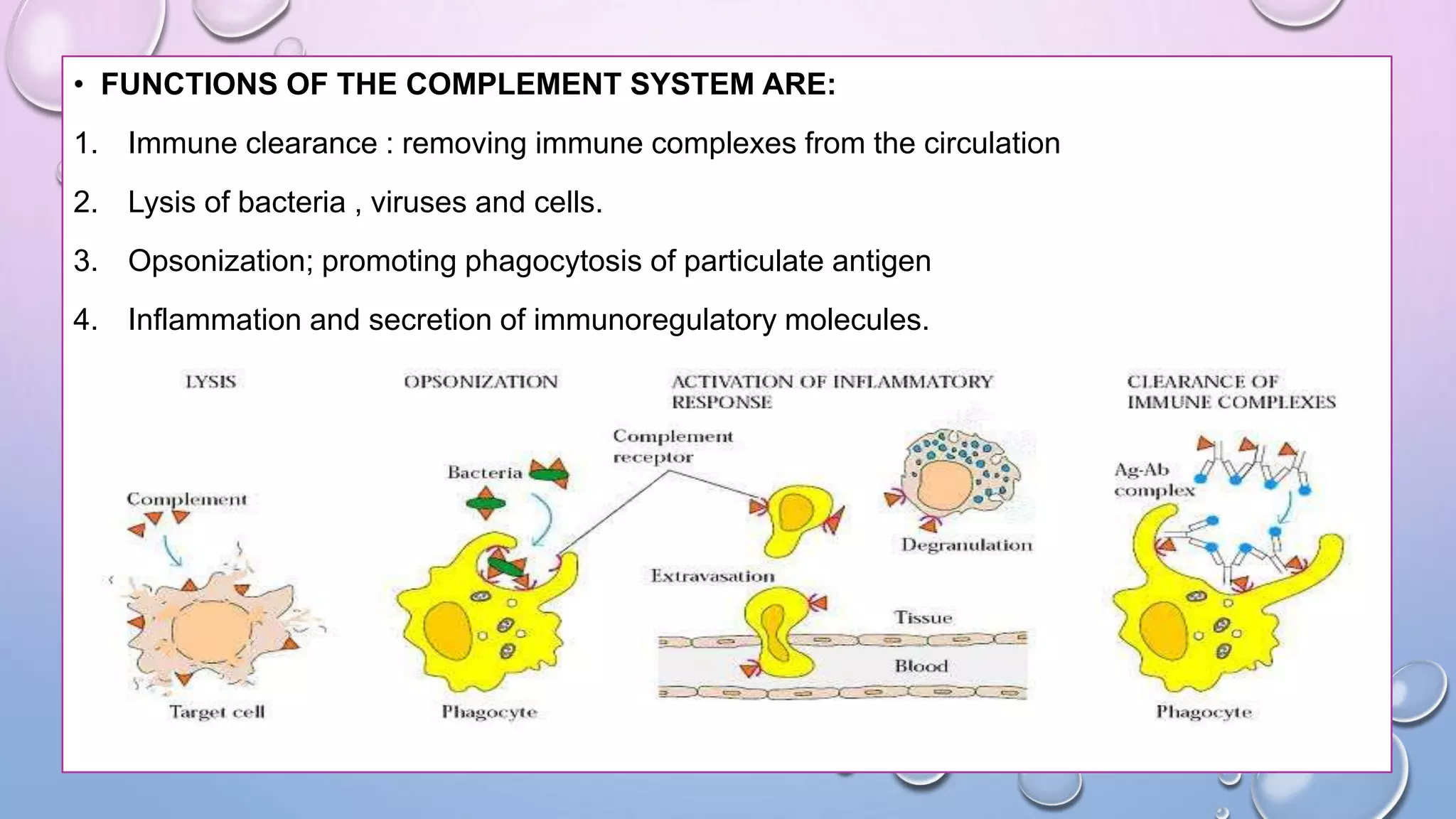 Complementary system | PPT
