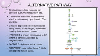 Complementary system | PPT