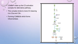 Complementary system | PPT