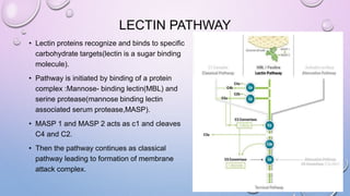 Complementary system | PPT