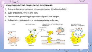 Complementary system | PPT