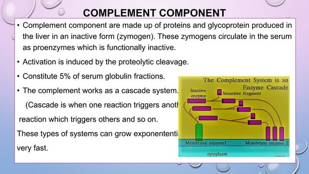 Complementary system | PPT
