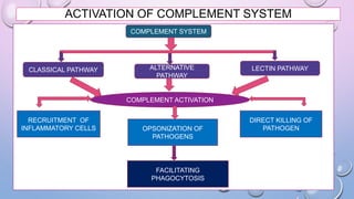 Complementary system | PPT