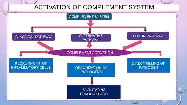 Complementary system | PPT