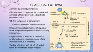 Complementary system | PPT