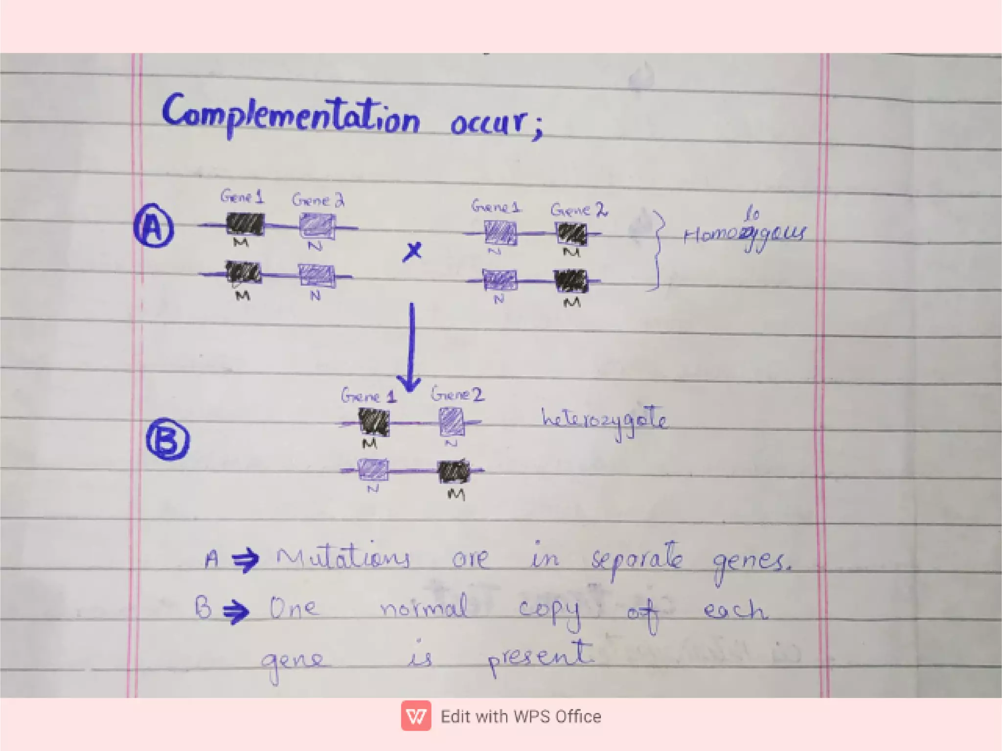 Complementation mapping and gene mapping. | PDF