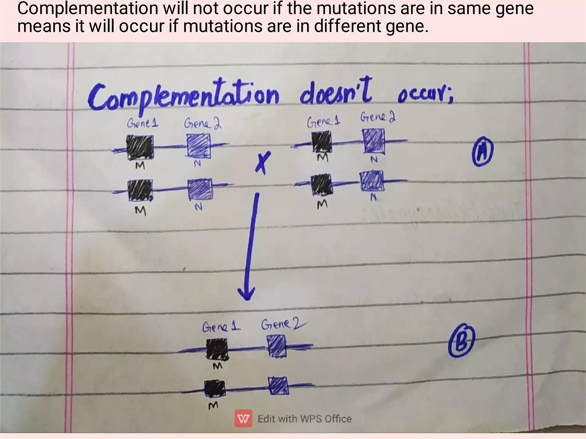 Complementation mapping and gene mapping. | PDF