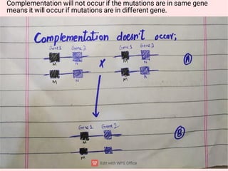 Complementation mapping and gene mapping. | PDF