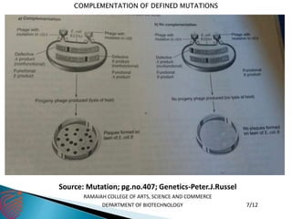 Complementation of defined mutations | PPTX