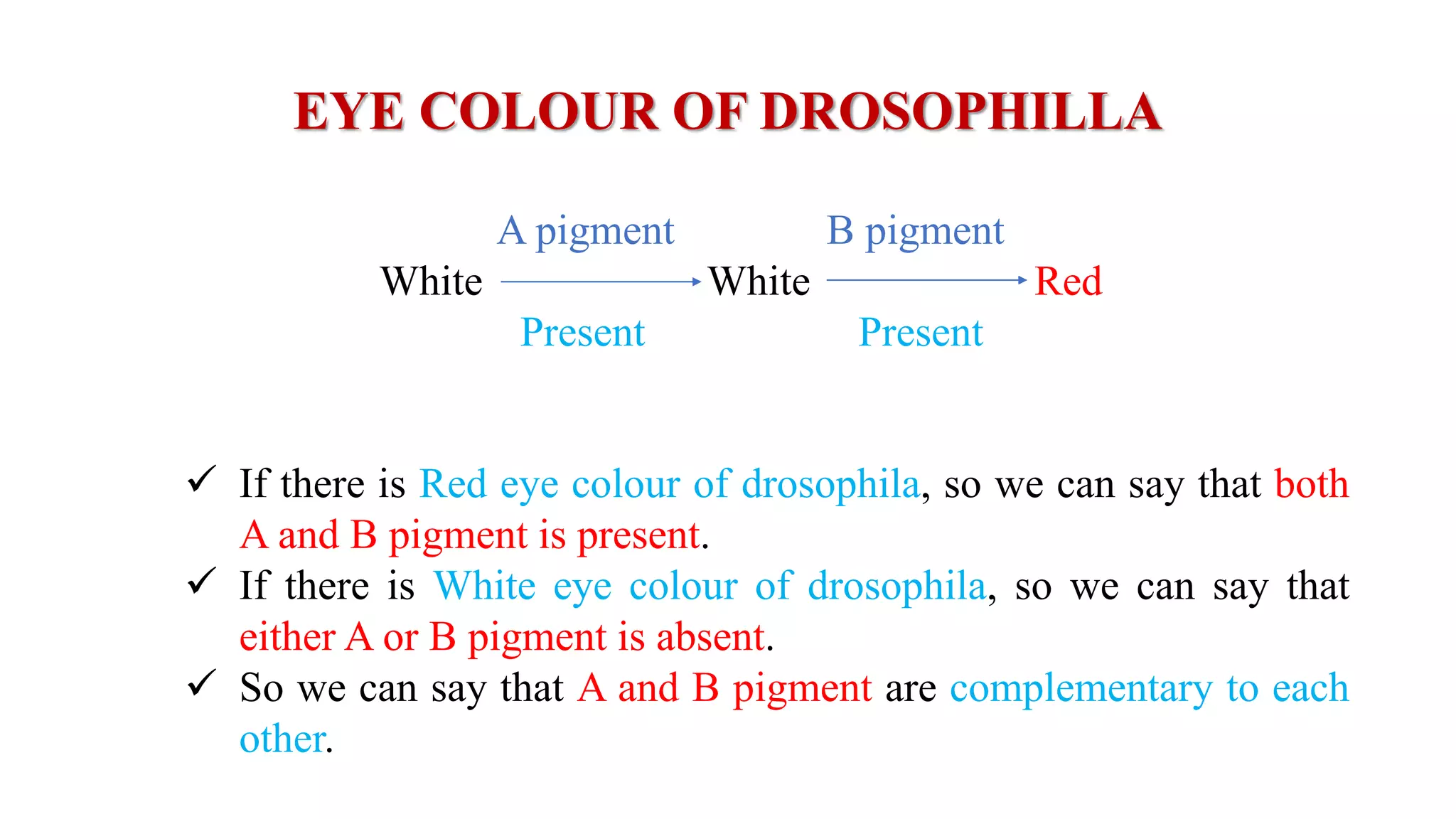 Complementation test | PPTX