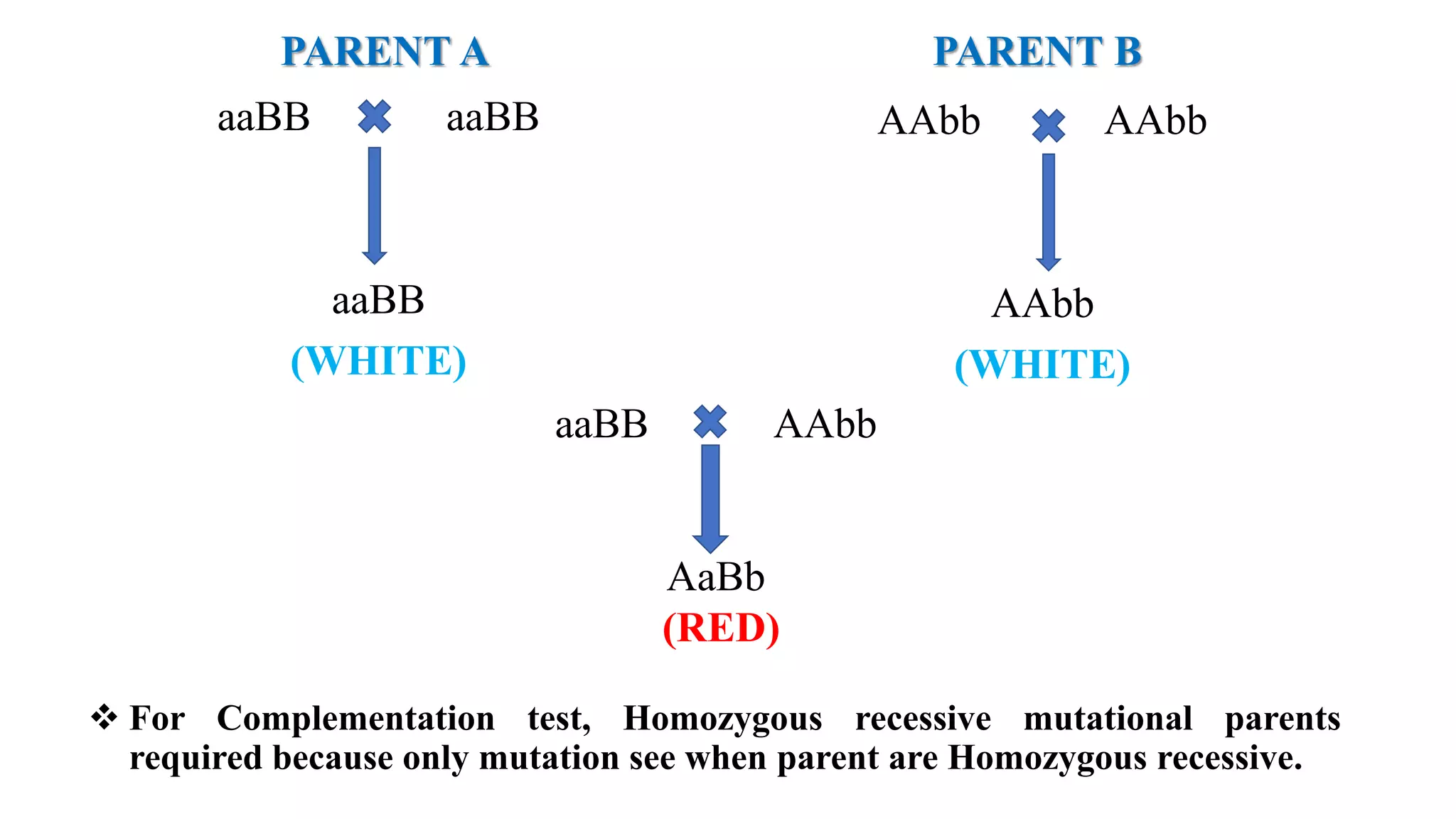Complementation test | PPTX