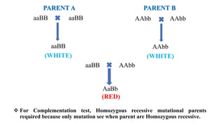 Complementation test | PPTX
