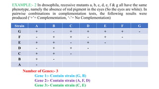 Complementation test | PPTX