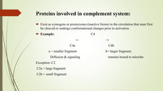 Complement & complement system | PPTX