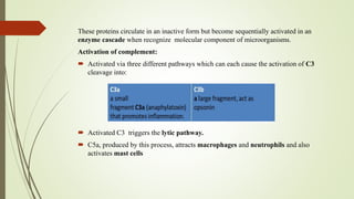 Complement & complement system | PPTX