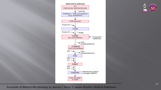 Complement system in microbiology -by dr sadhana | PPTX