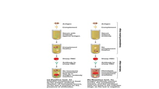 complement fixation test.pptx