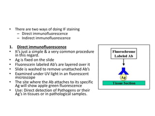 Complement fixation | PPTX