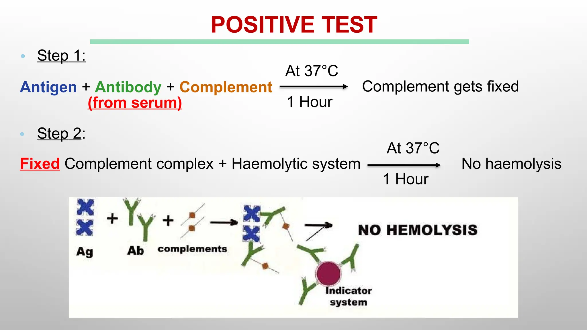 complement fixation medicine healthcare.pptx