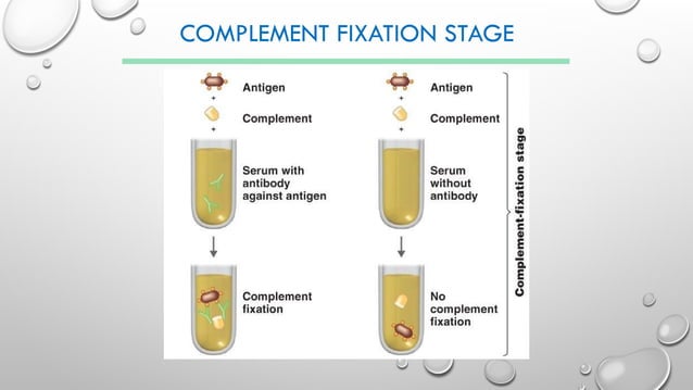 complement fixation medicine healthcare.pptx
