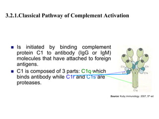 Complement III.ppt
