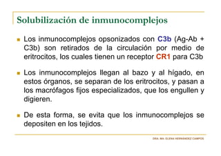 Complemento iii | PPT