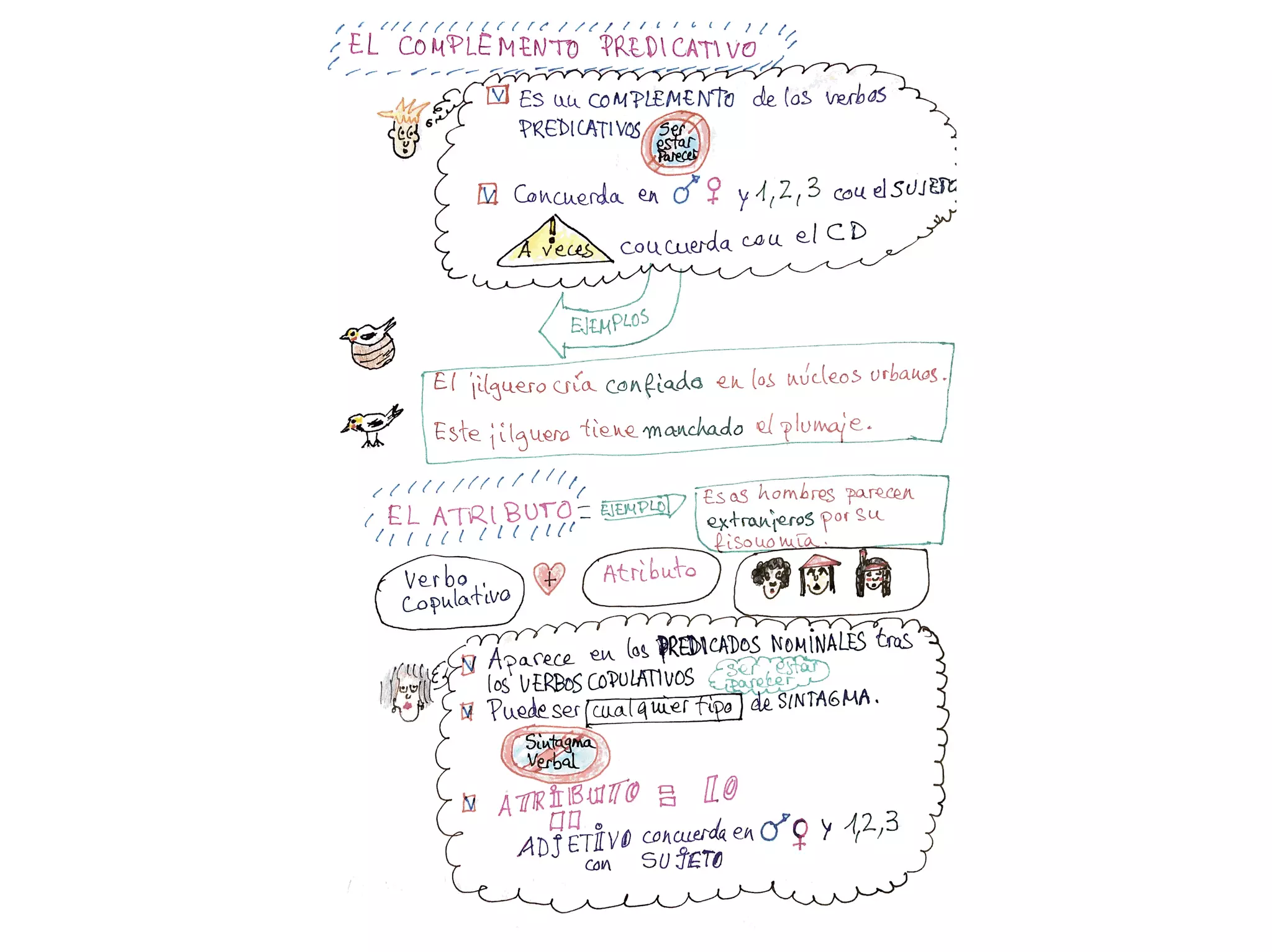 Complementos del verbo + Visual Thinking | PDF