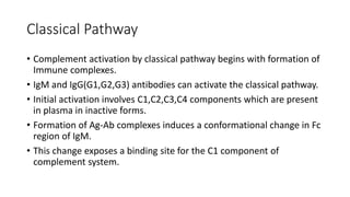 Complement pathway | PPTX