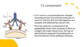 Complement pathway | PPTX