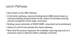 Complement pathway | PPTX