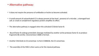 Complement pathway and B CELL FUNCTION - Copy.pptx