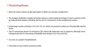 Complement pathway and B CELL FUNCTION - Copy.pptx