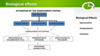 Complement pathway (mnemonic) | PDF