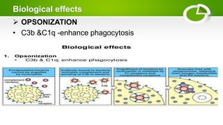Complement pathway (mnemonic) | PDF