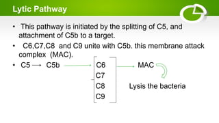Complement pathway (mnemonic) | PDF