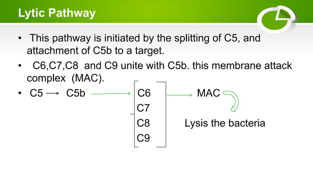 Complement pathway (mnemonic) | PDF