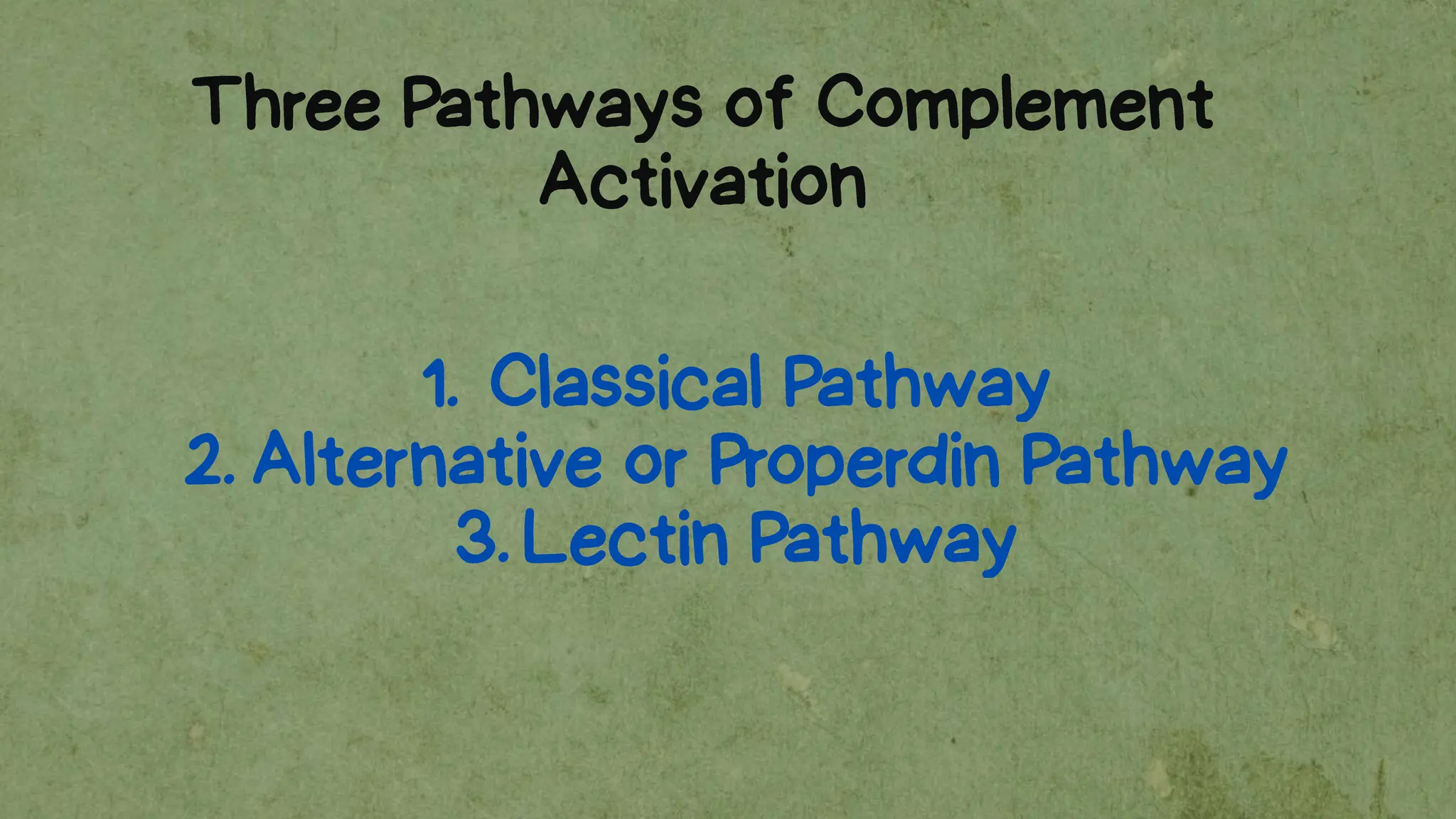 Complement Activation Pathways: Key Mechanisms in Immune Defense | PPTX