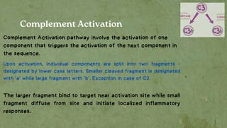 Complement Activation Pathways: Key Mechanisms in Immune Defense | PPTX