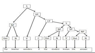 Complement Phrase | PPT