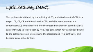 Complement presentation | PPTX