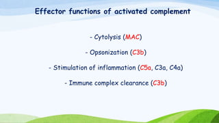 Complement presentation | PPT
