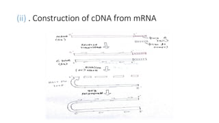 Complementry DNA (cdna) LIBRARY-converted-compressed (1).pdf
