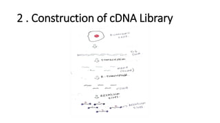 Complementry DNA (cdna) LIBRARY-converted-compressed (1).pdf