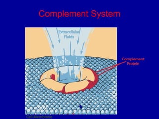 Complement system | PPT