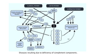 Complement system | PPTX | Blood Disorders | Diseases and Conditions