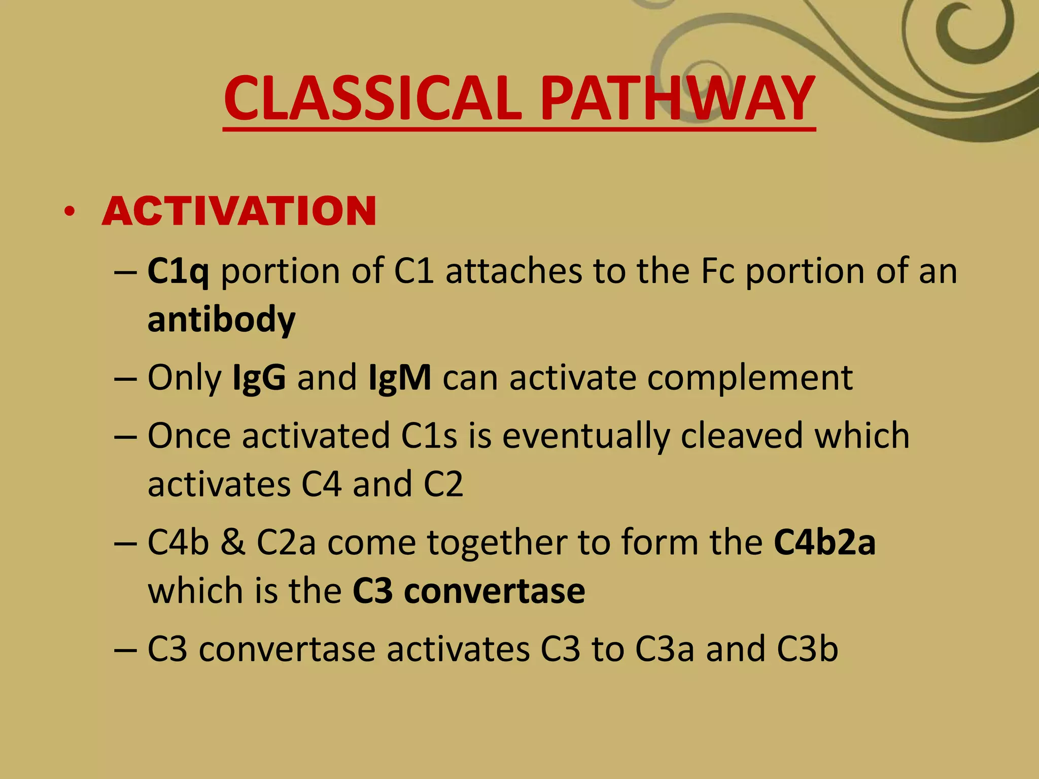 Complement system | PPTX