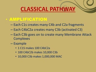 Complement system | PPTX