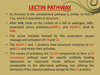 Complement system | PPTX