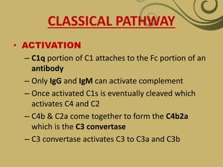 Complement system | PPTX